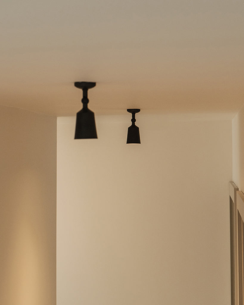 Baylis Single Medium Spotlight Bronze Black | Lighting